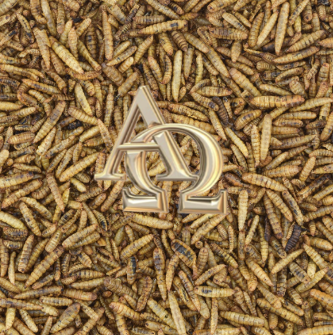 Dried Animal Food :: DinoTech